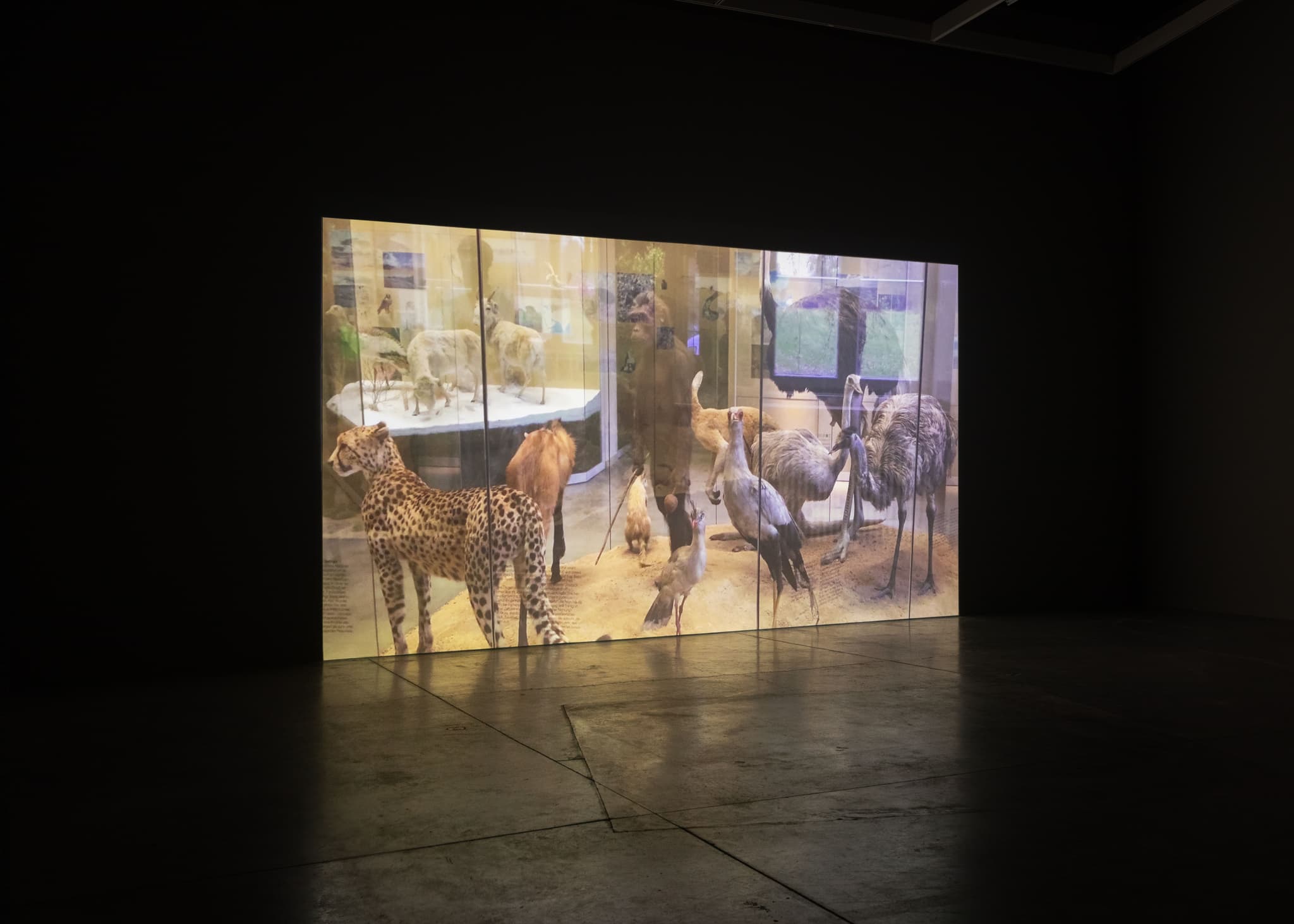 Shelagh Keeley: Film Notebooks 1985-2017
