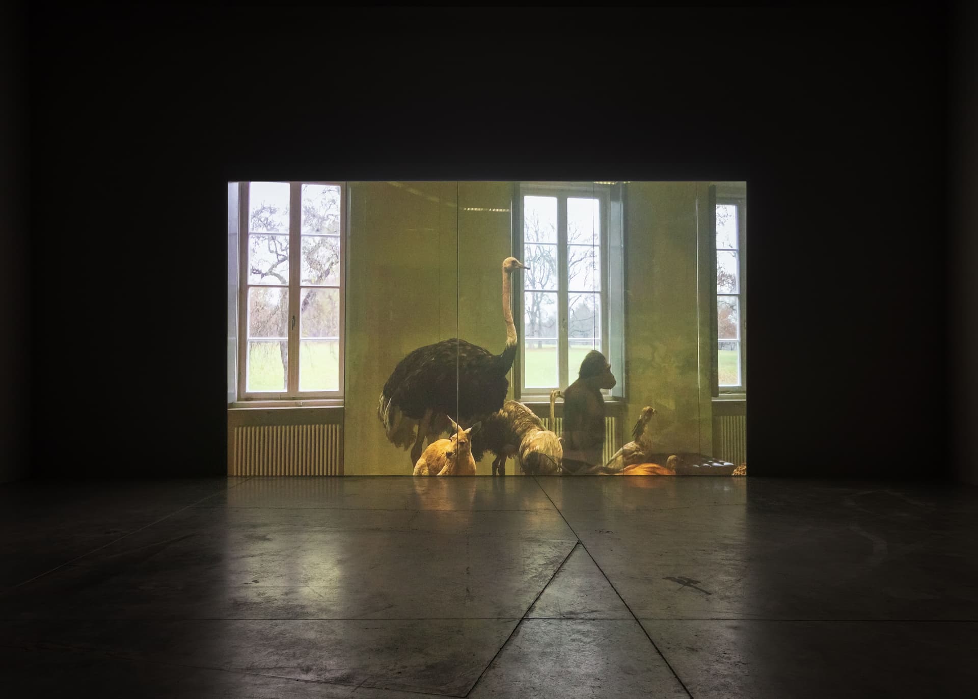 Shelagh Keeley: Film Notebooks 1985-2017