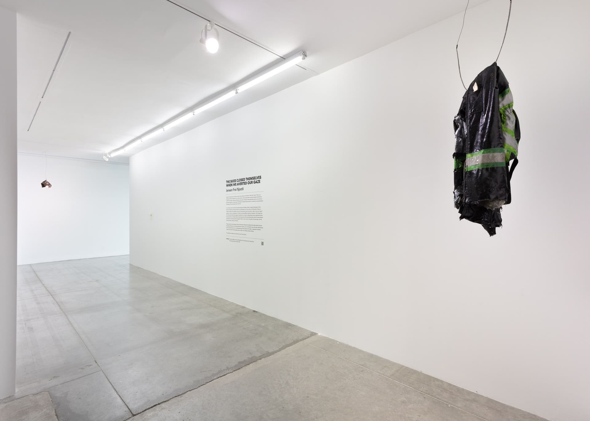 Jeneen Frei Njootli's Exhibition at The Power Plant