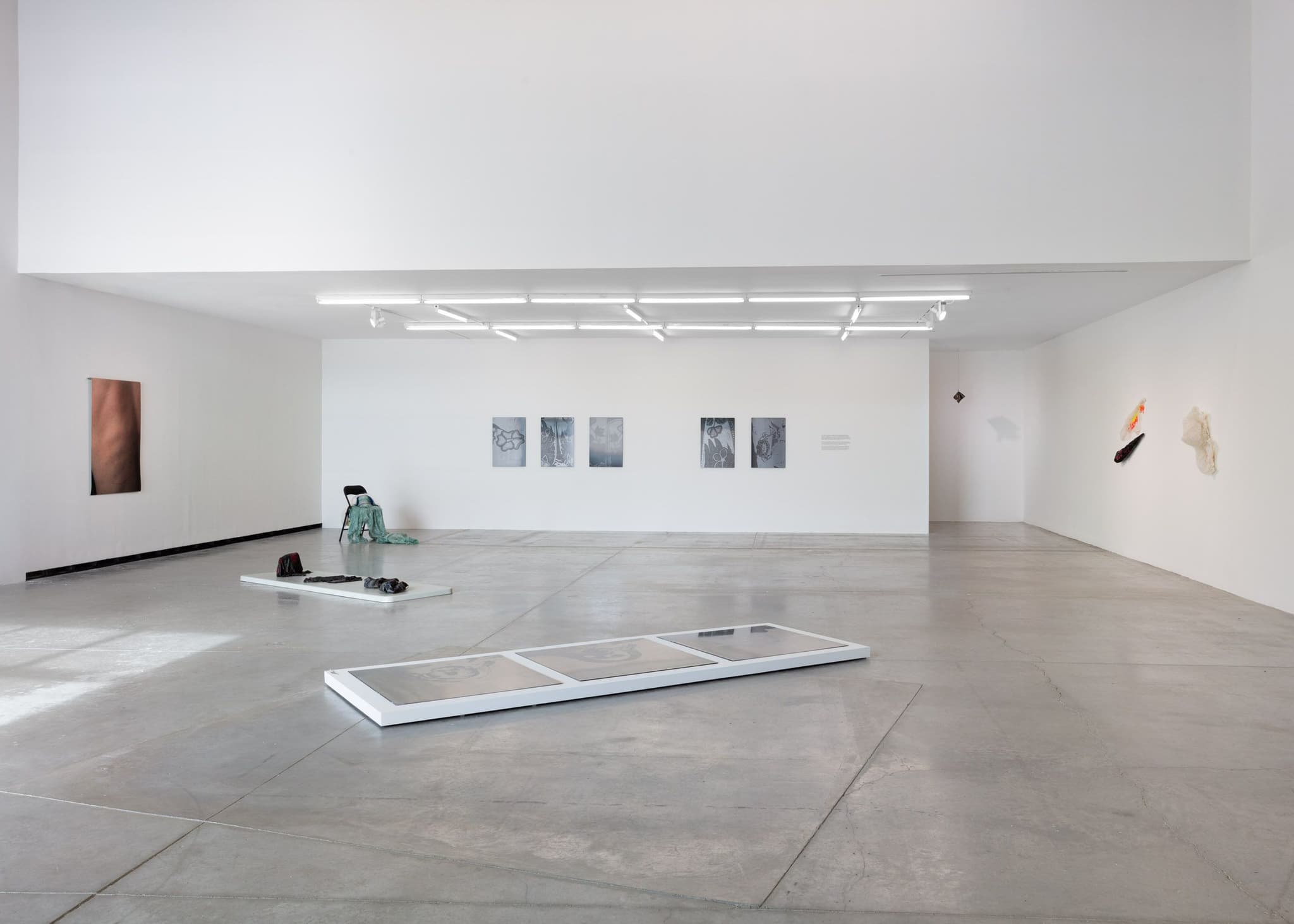 Jeneen Frei Njootli's Exhibition at The Power Plant