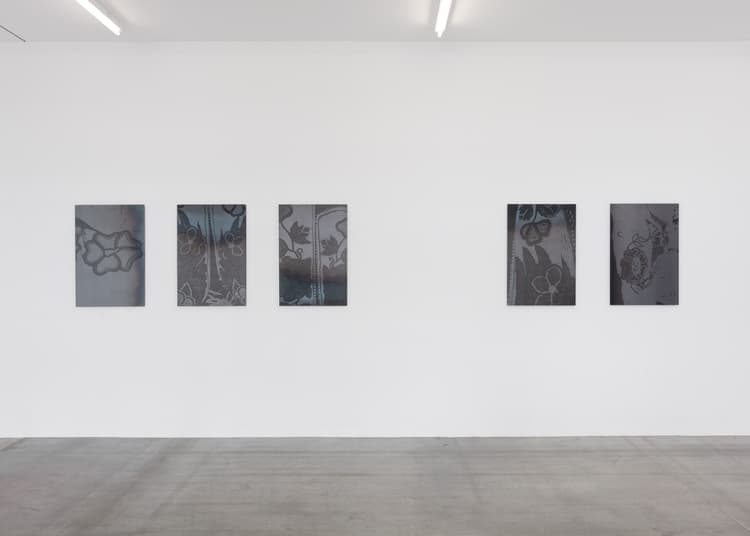 Jeneen Frei Njootli's Exhibition at The Power Plant