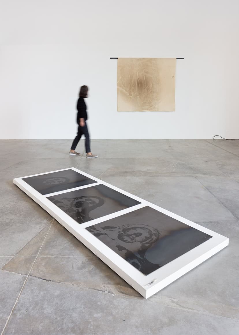 Jeneen Frei Njootli's Exhibition at The Power Plant
