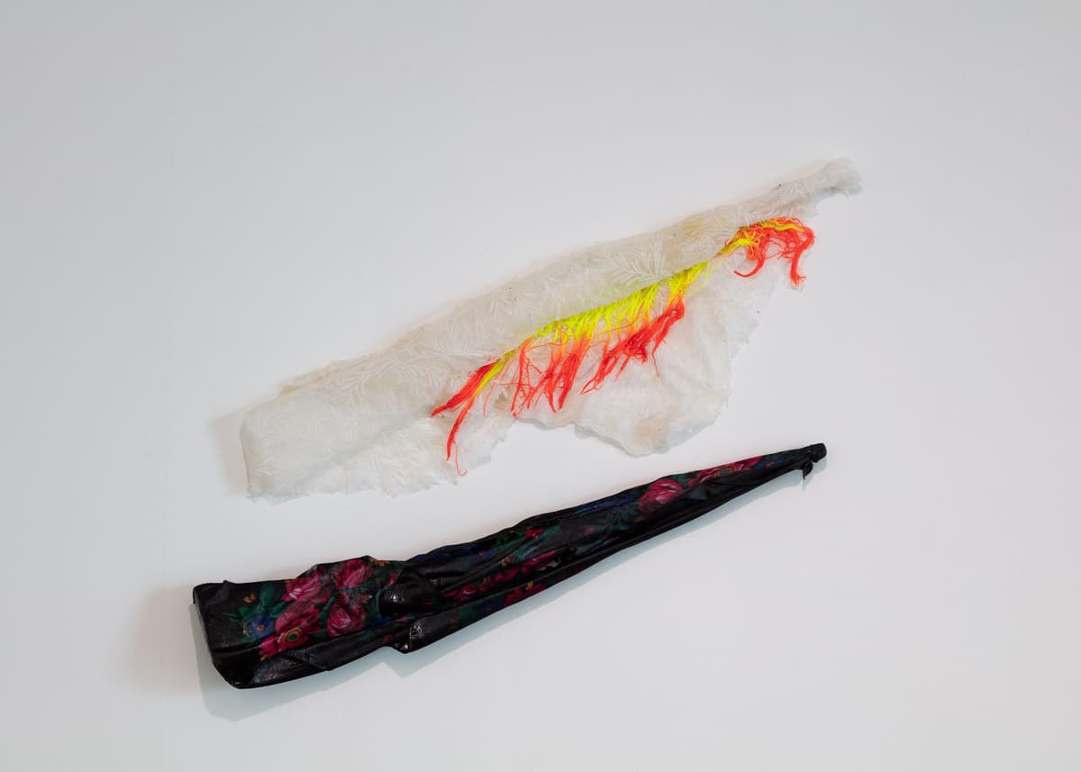 Jeneen Frei Njootli's Exhibition at The Power Plant