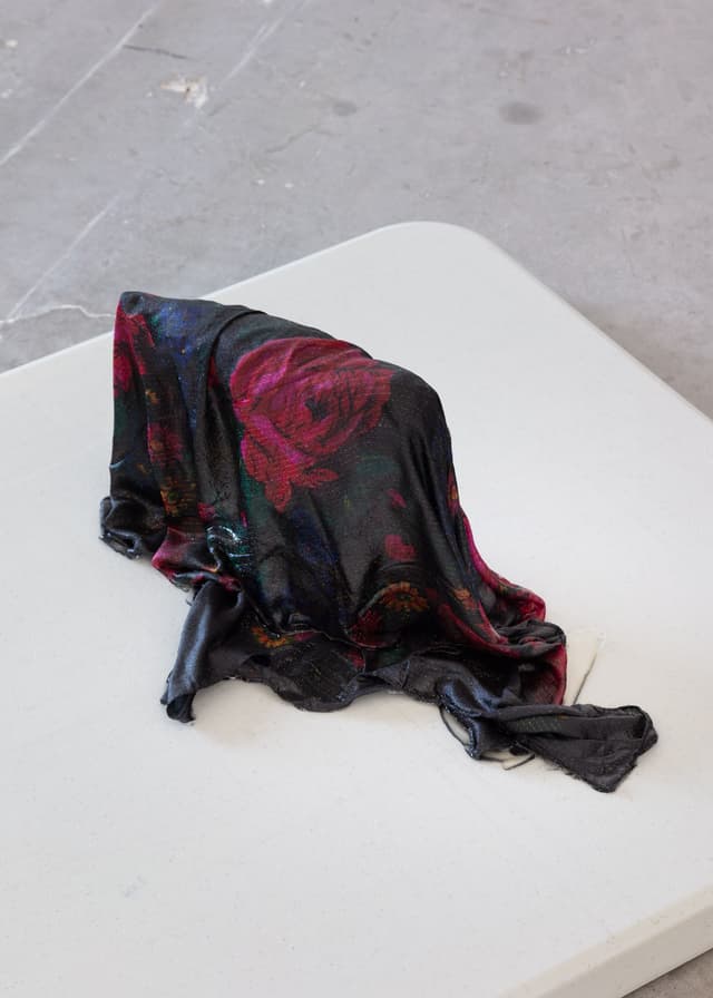 Jeneen Frei Njootli's Exhibition at The Power Plant